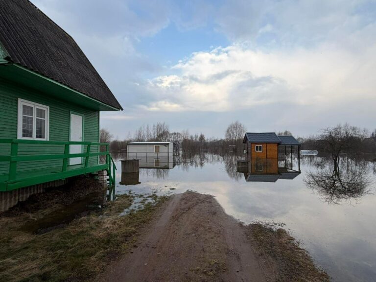 Kėdainiuose prasidėjo potvynis. Ledo sangrūdos užtvenkė upę, prasidėjo ...